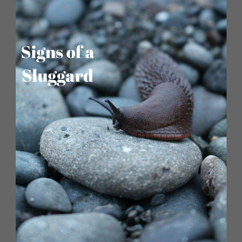 The Signs of a Sluggard | Doctrine & Devotion